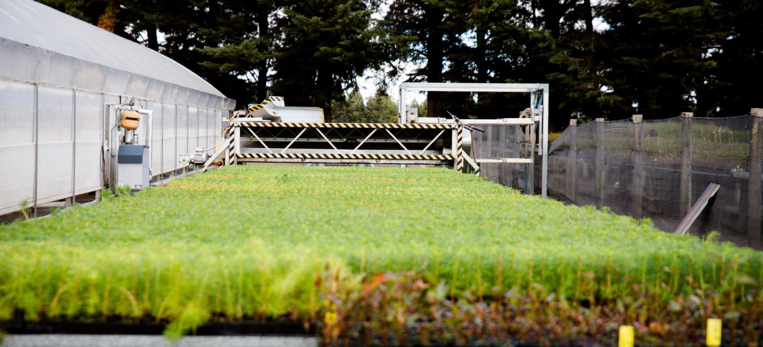 About Us – Arborline