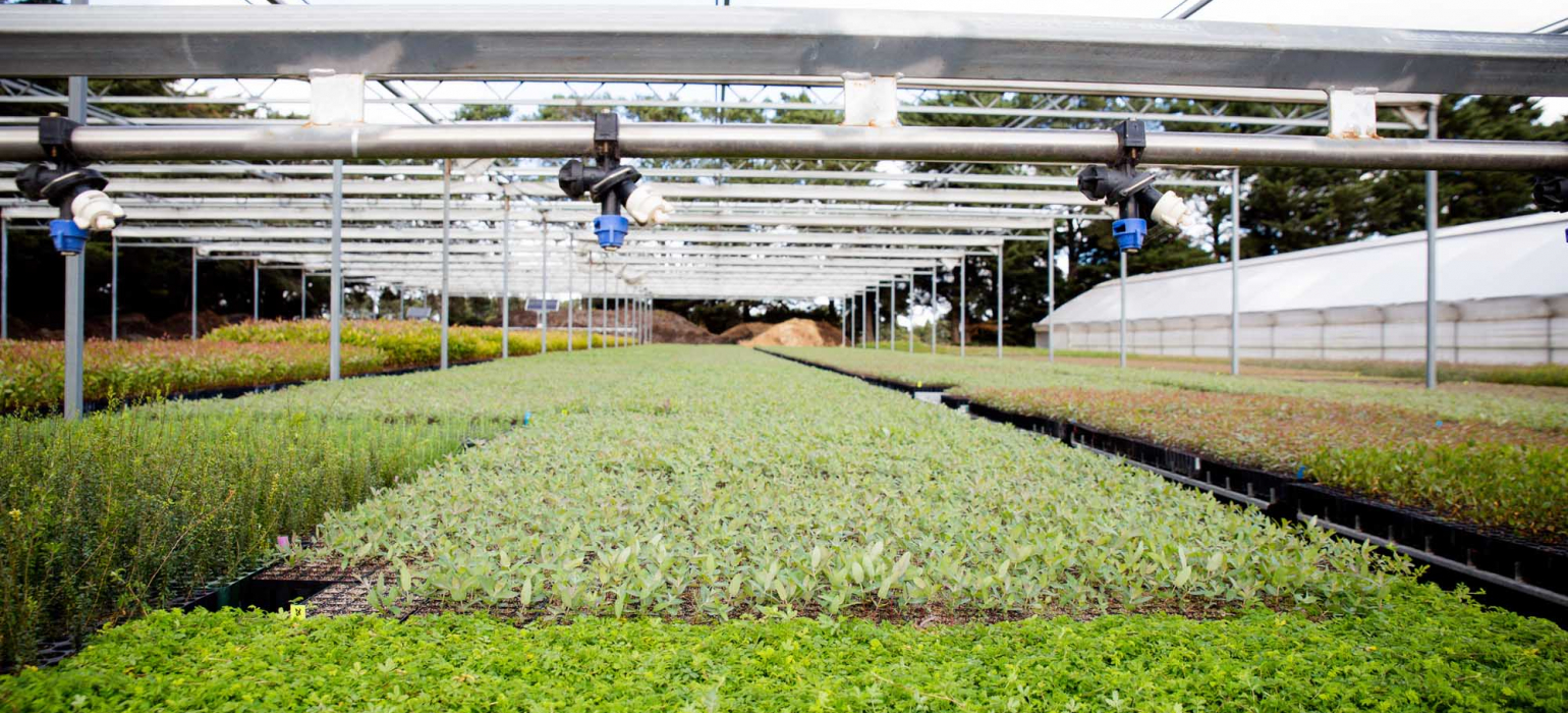 About Us – Arborline